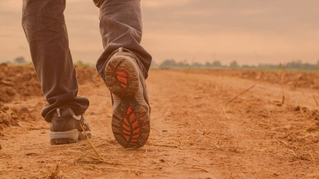Manhood Talks: Sign-Up for Early Access! | Through the Word
